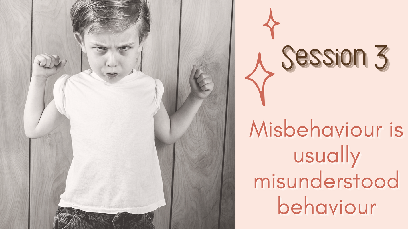 Session 3 Misbehaviour is Usually Misunderstood Behaviour – Responsive ...